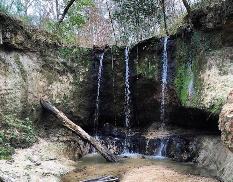 The (Tunica) Hills are Alive - Acadiana Profile