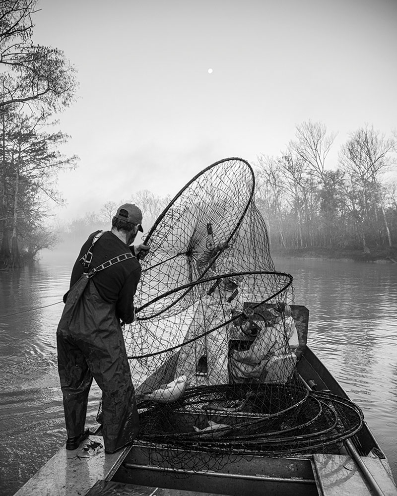 Hoop Net Fishing - Acadiana Profile