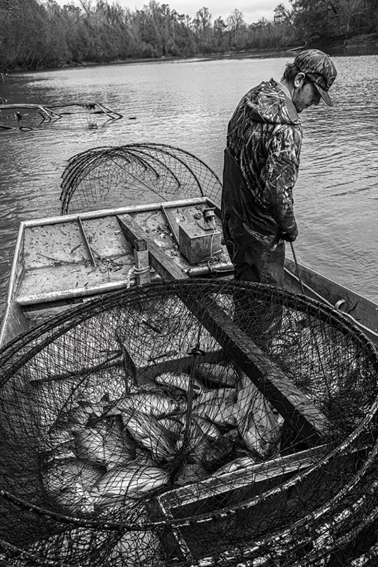 Hoop Net Fishing - Acadiana Profile