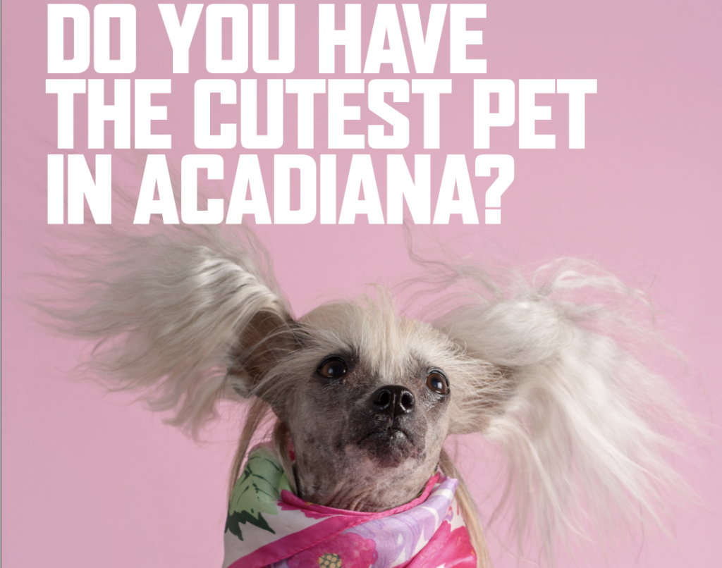 Cutest Pet Contest - Acadiana Profile