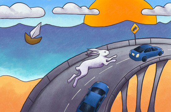 Chasing the Rabbit - 850 Business Magazine