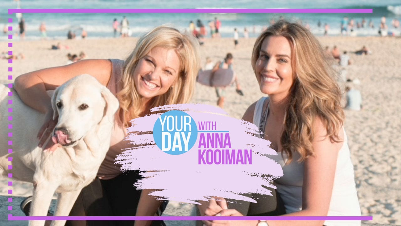 Anna Talks With Celebrity Vet, Dr. Kate Adams, On Introducing New Pets ...