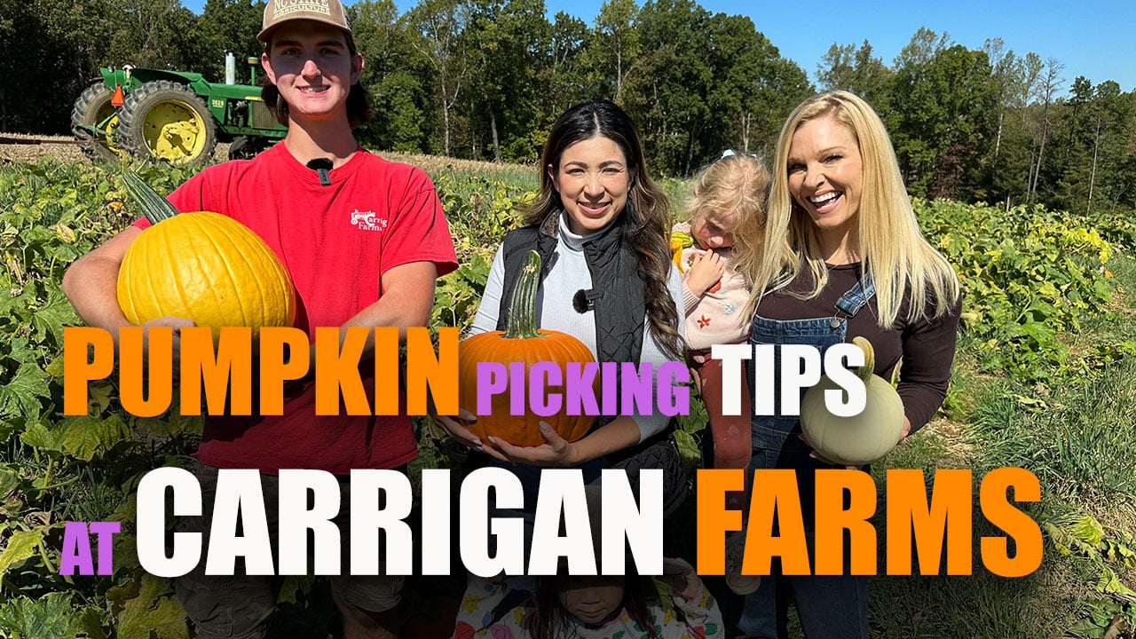 Pumpkin Picking At Carrigan Farms - Bahakel Entertainment
