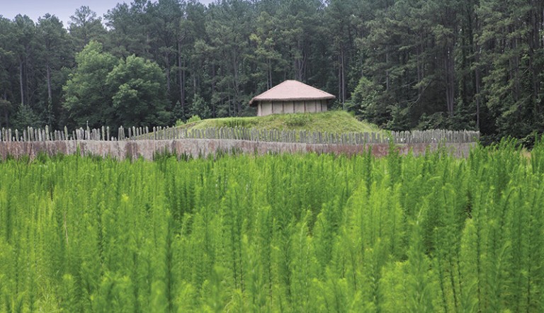 A Fall Activity Guide for Charlotteans: 2020 - Charlotte Magazine