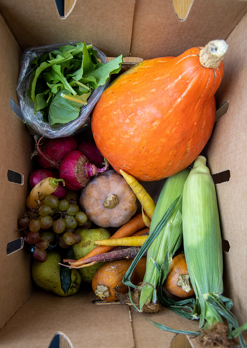 Inside Freshlist's Home Delivery Expansion in Charlotte - Charlotte ...