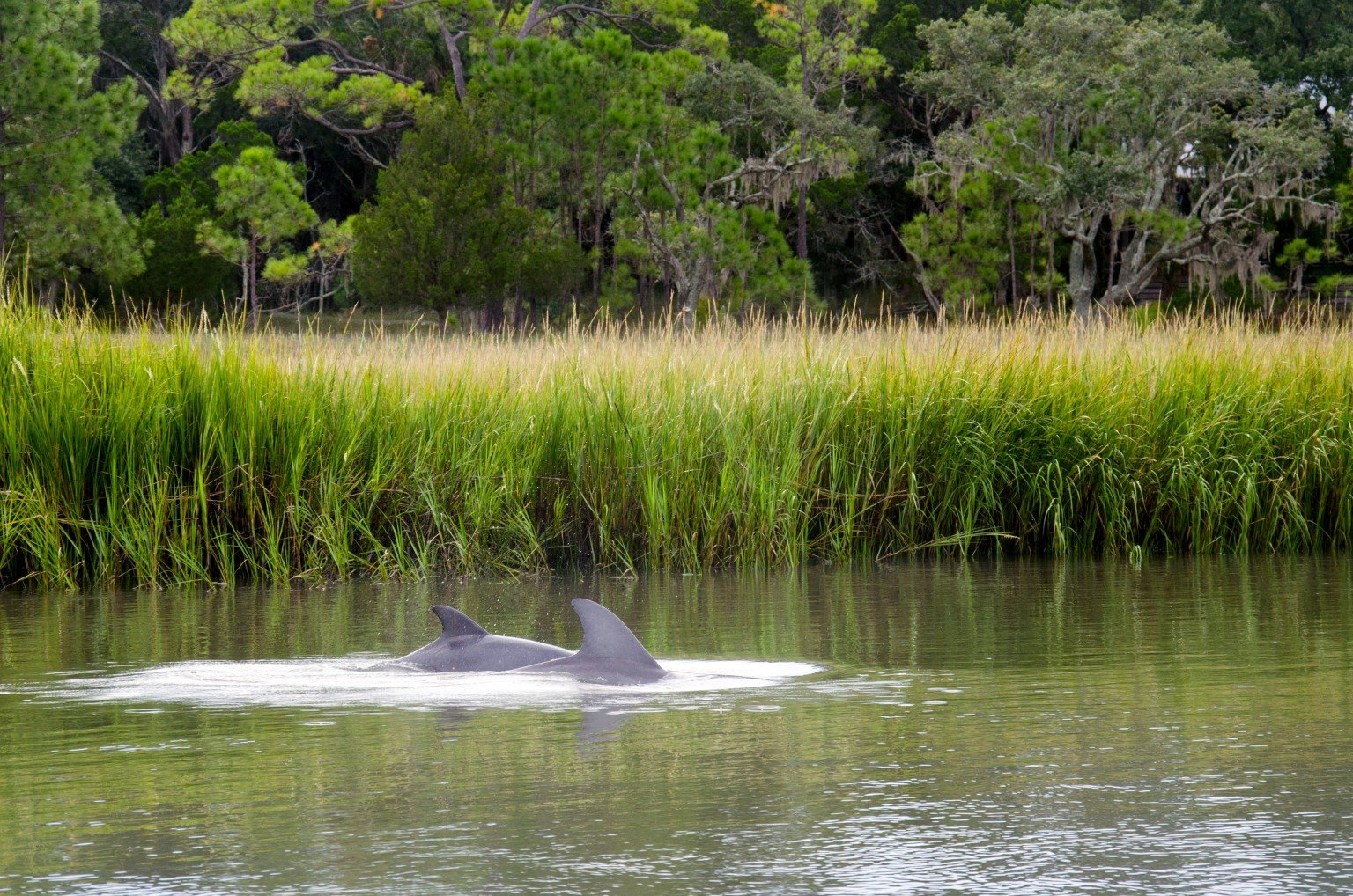 5 Reasons Edisto Beach Offers the Most Effortless Vacation