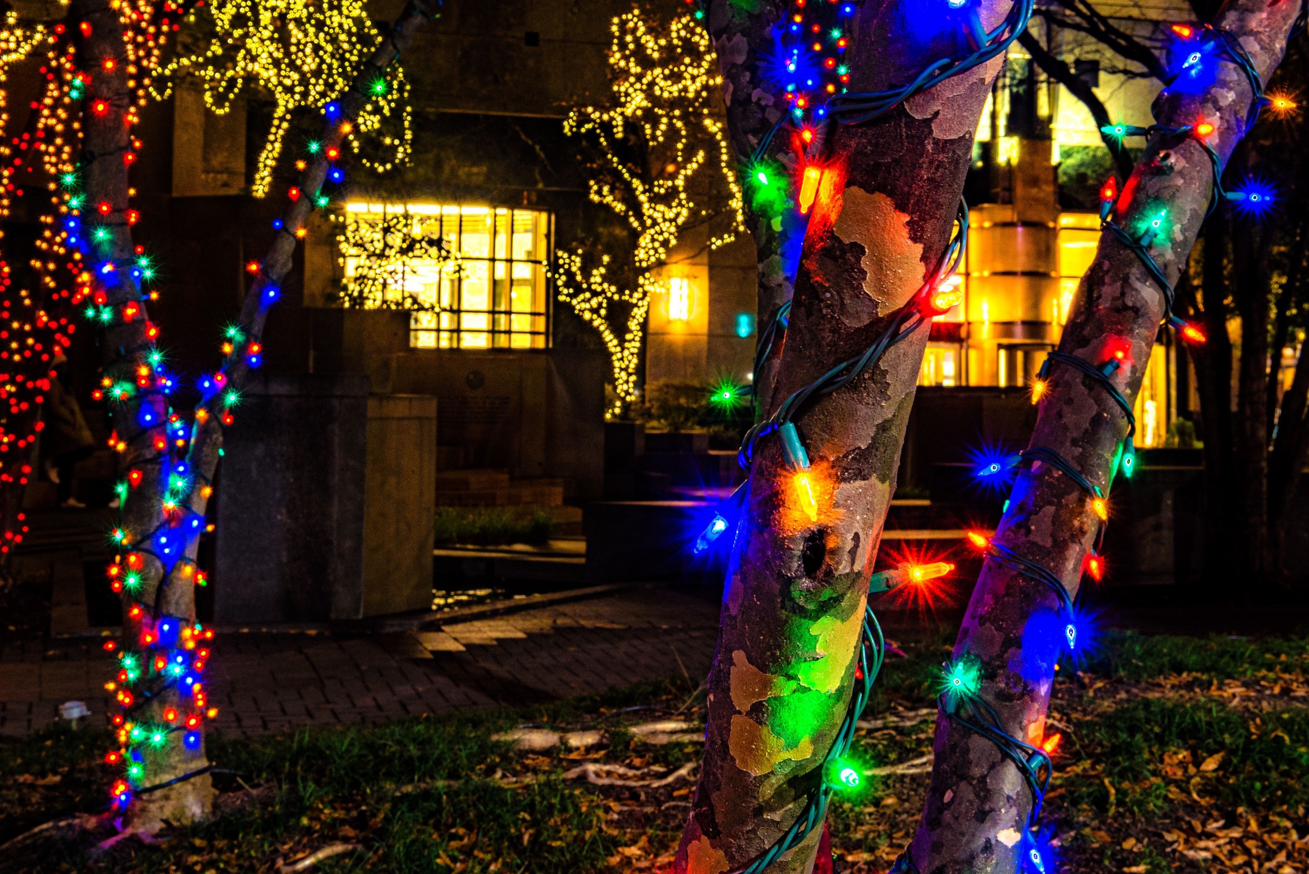 Holiday Outings to Know in South End and Uptown - Charlotte Magazine