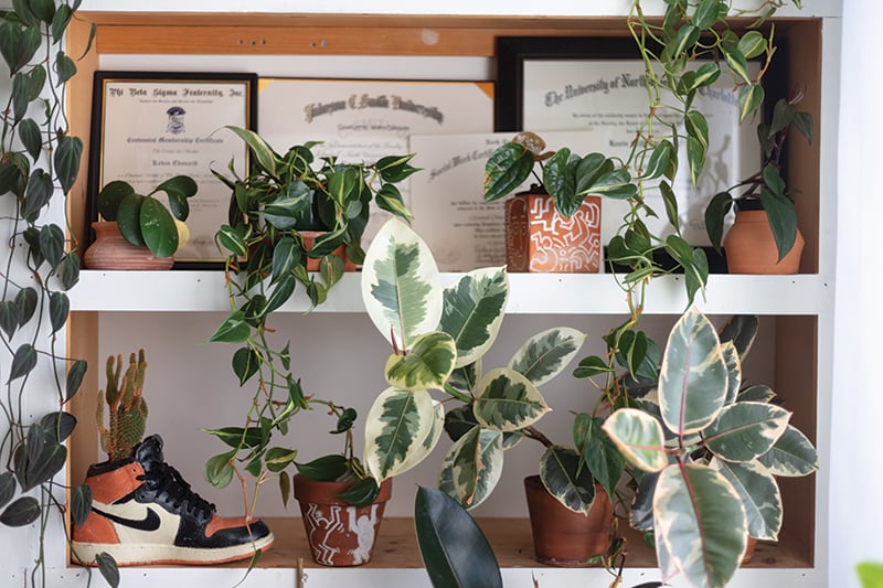 Meet Charlotte Instagram Star The Plant Papi - Charlotte Magazine