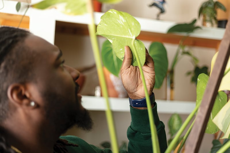 Meet Charlotte Instagram Star The Plant Papi - Charlotte Magazine