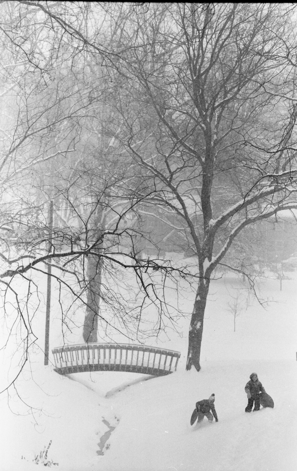 Why Charlotte's Snow Days Are Probably Gone - Charlotte Magazine