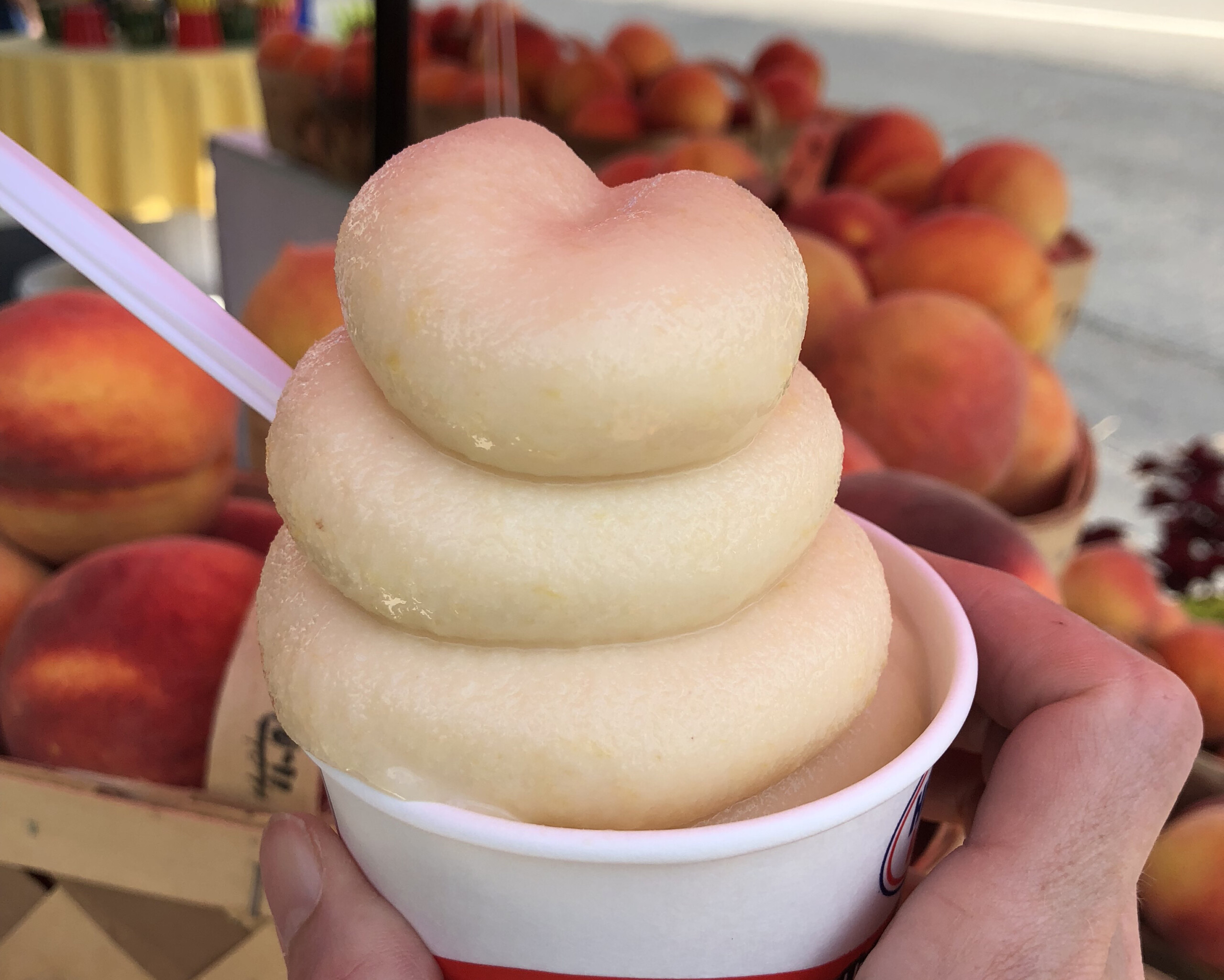 A Celebration of Peaches in South Carolina's Old 96 District ...
