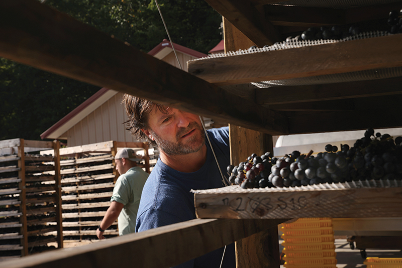 Beyond the Muscadine: The Evolution of North Carolina Wine - Charlotte ...