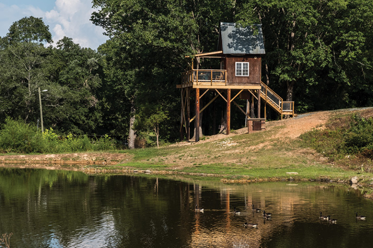 Monroe's Treehouse Vineyards a Sweet Escape - Charlotte Magazine