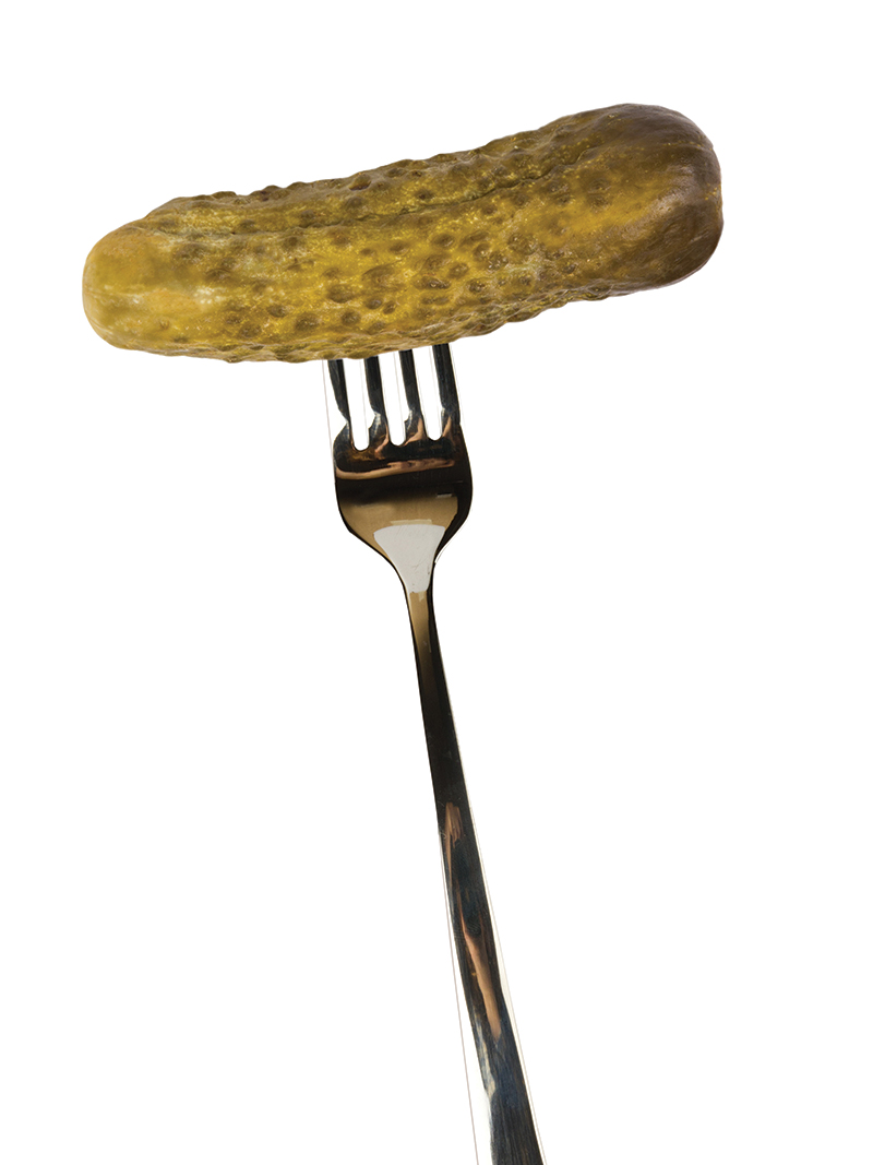 A Primer for April's N.C. Pickle Festival - Charlotte Magazine
