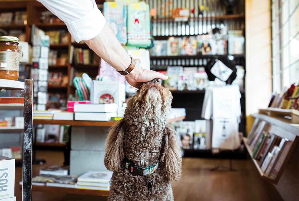 Meet the Store Animals of Charlotte - Charlotte Magazine