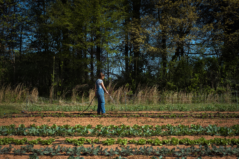 Davidson College's Farm May Be Its Most Coveted Classroom - Charlotte ...