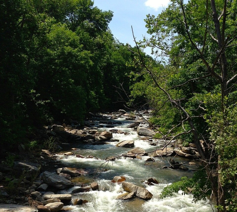 Family and Kids Activities Guide to Charlotte - Charlotte Parent