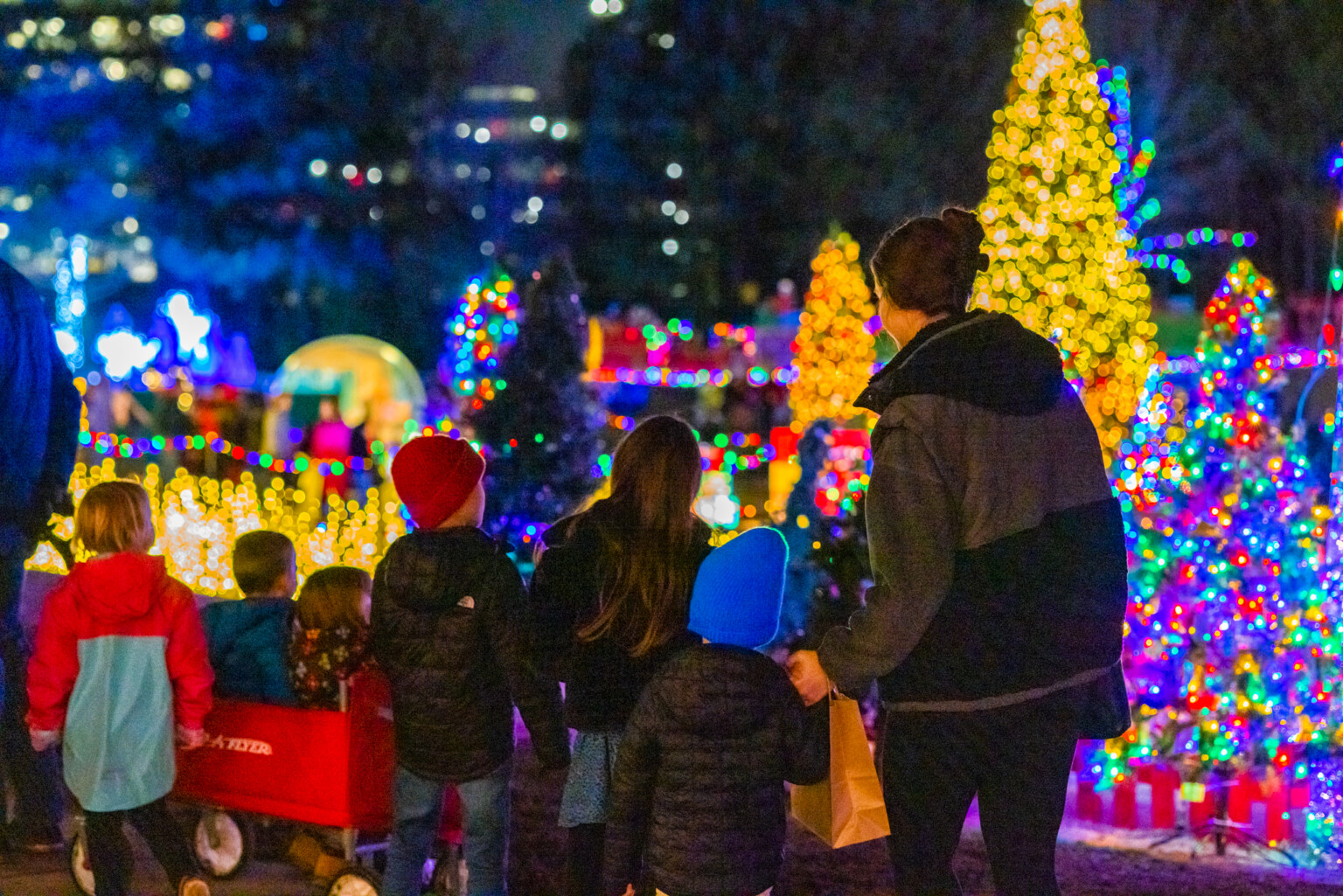 GO. PLAY. SEE.: 6 Fun Things to Experience in Charlotte This Month ...