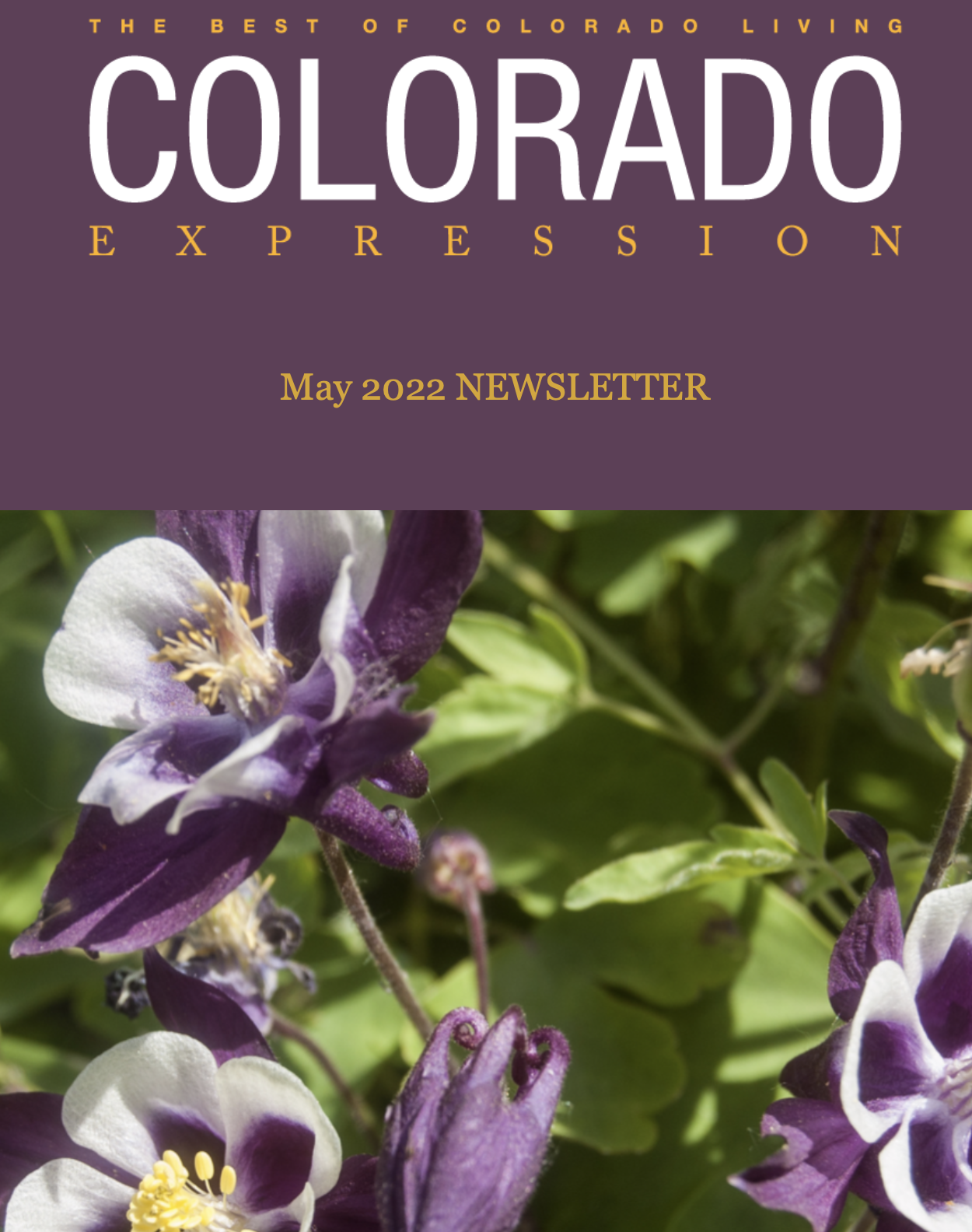Subscribe - Colorado Expression Magazine - The Best of Colorado Living