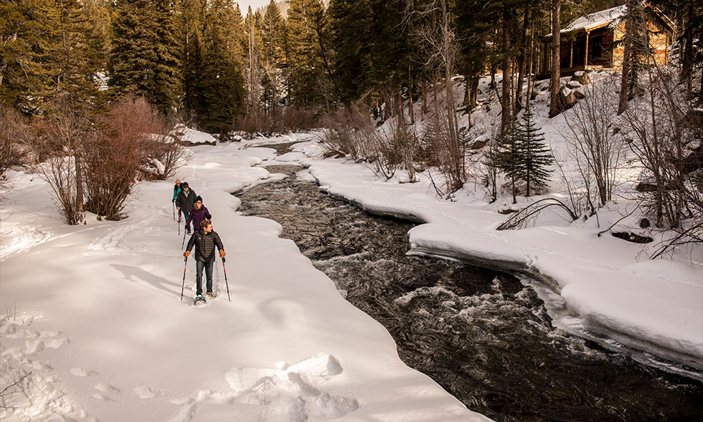Taylor River Lodge Is A Timeless Adventure Giving A Genuine Nod To ...