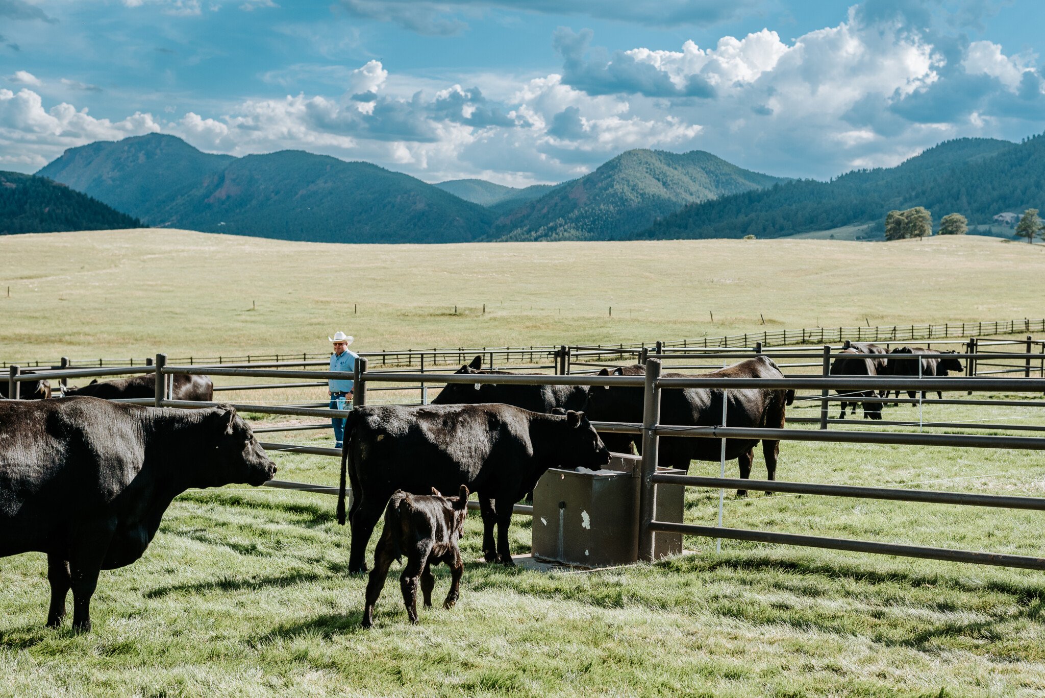 An Evening at the Ranch - Colorado Expression Magazine - The Best of ...