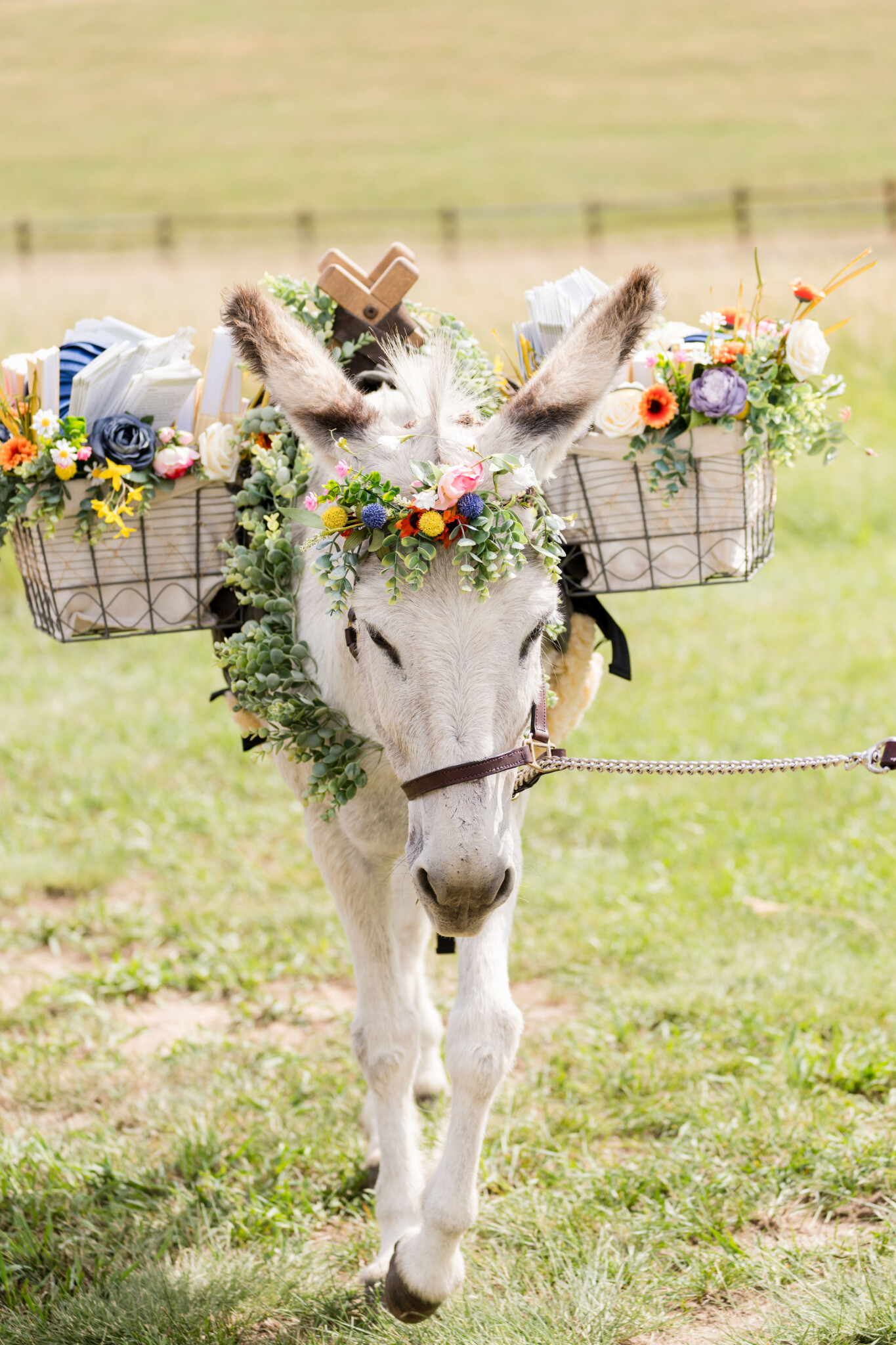 Confetti Memories 2023 - Colorado Expression Magazine - The Best of ...
