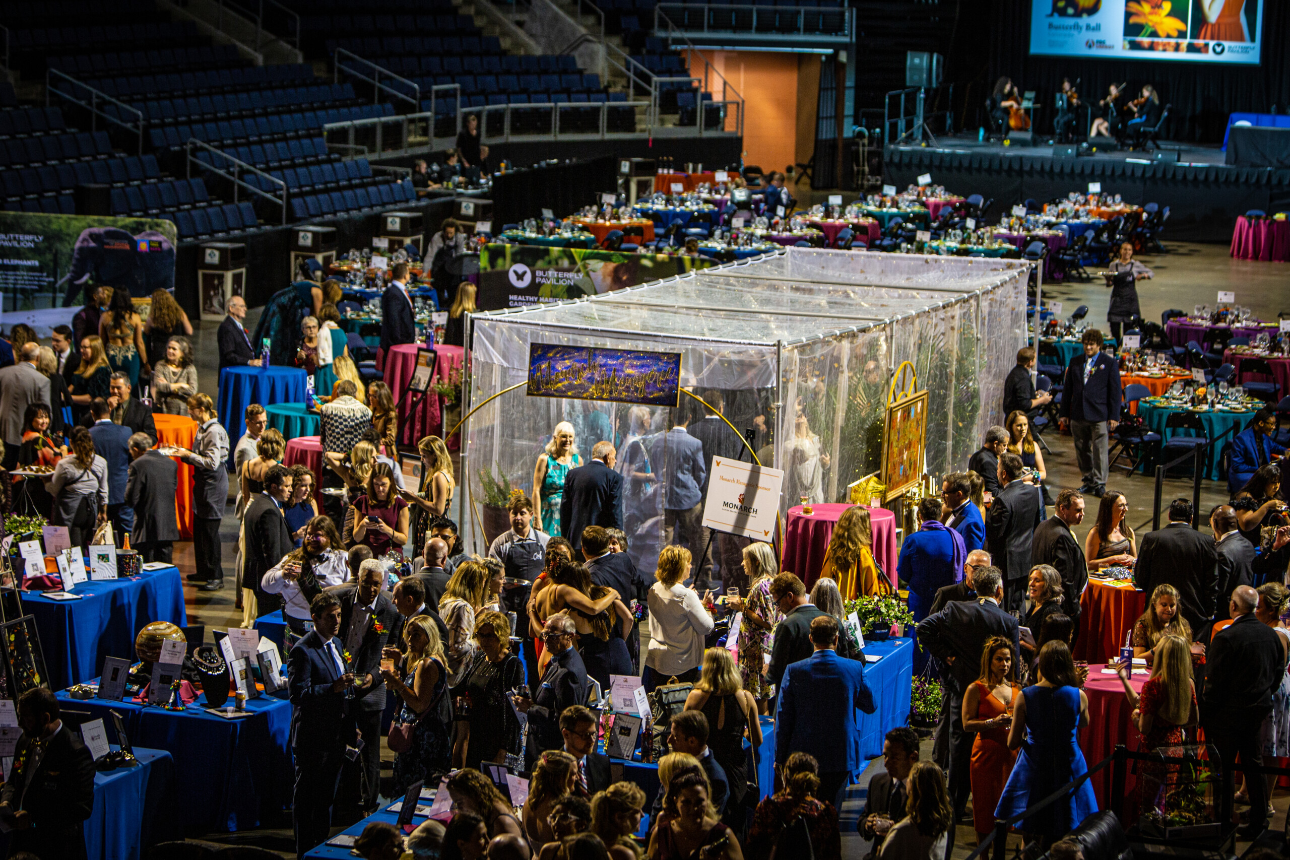 Join Butterfly Ball Colorado and Celebrate Pollinators' Many Wonders ...