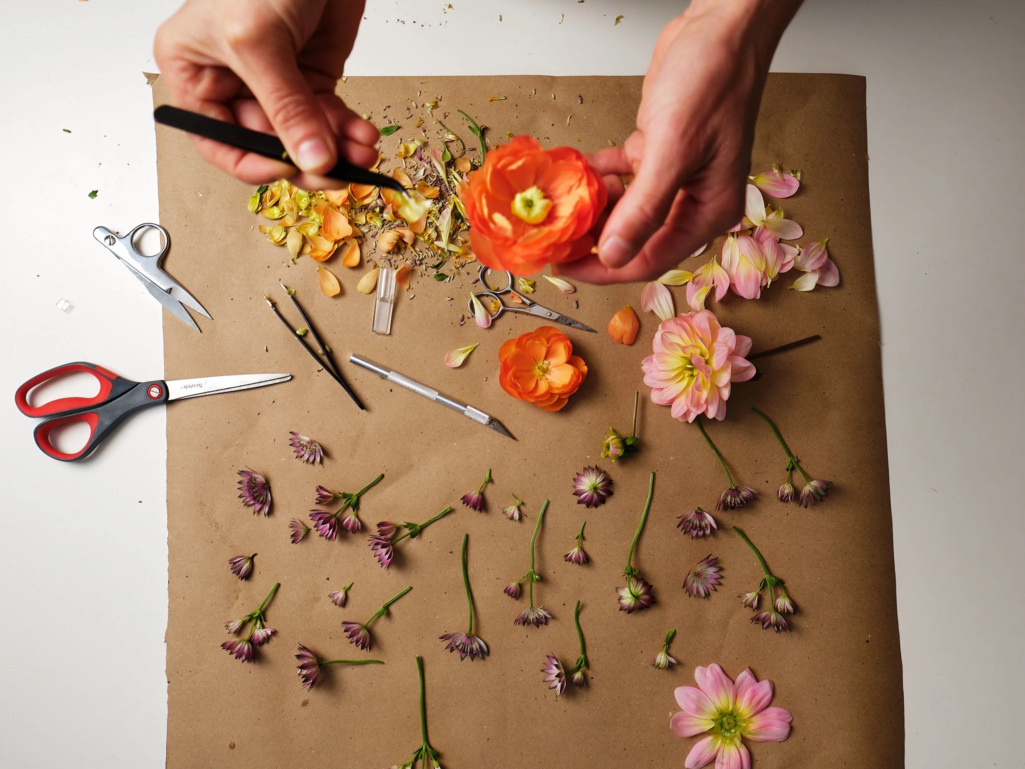 Beautiful Botanical Art with Pressed Wildflowers Created by Denver ...