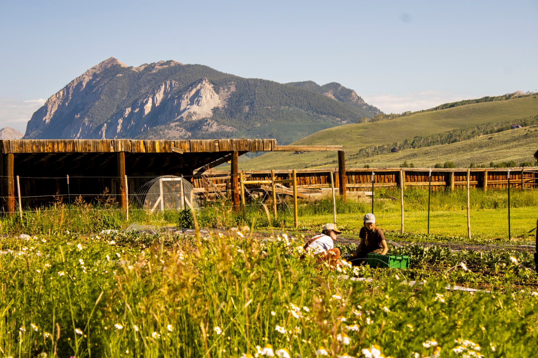 Colorado Expression Magazine - The Best of Colorado Living