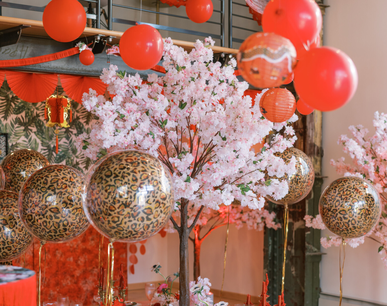 Colorado Expression Magazine - The Best of Colorado Living