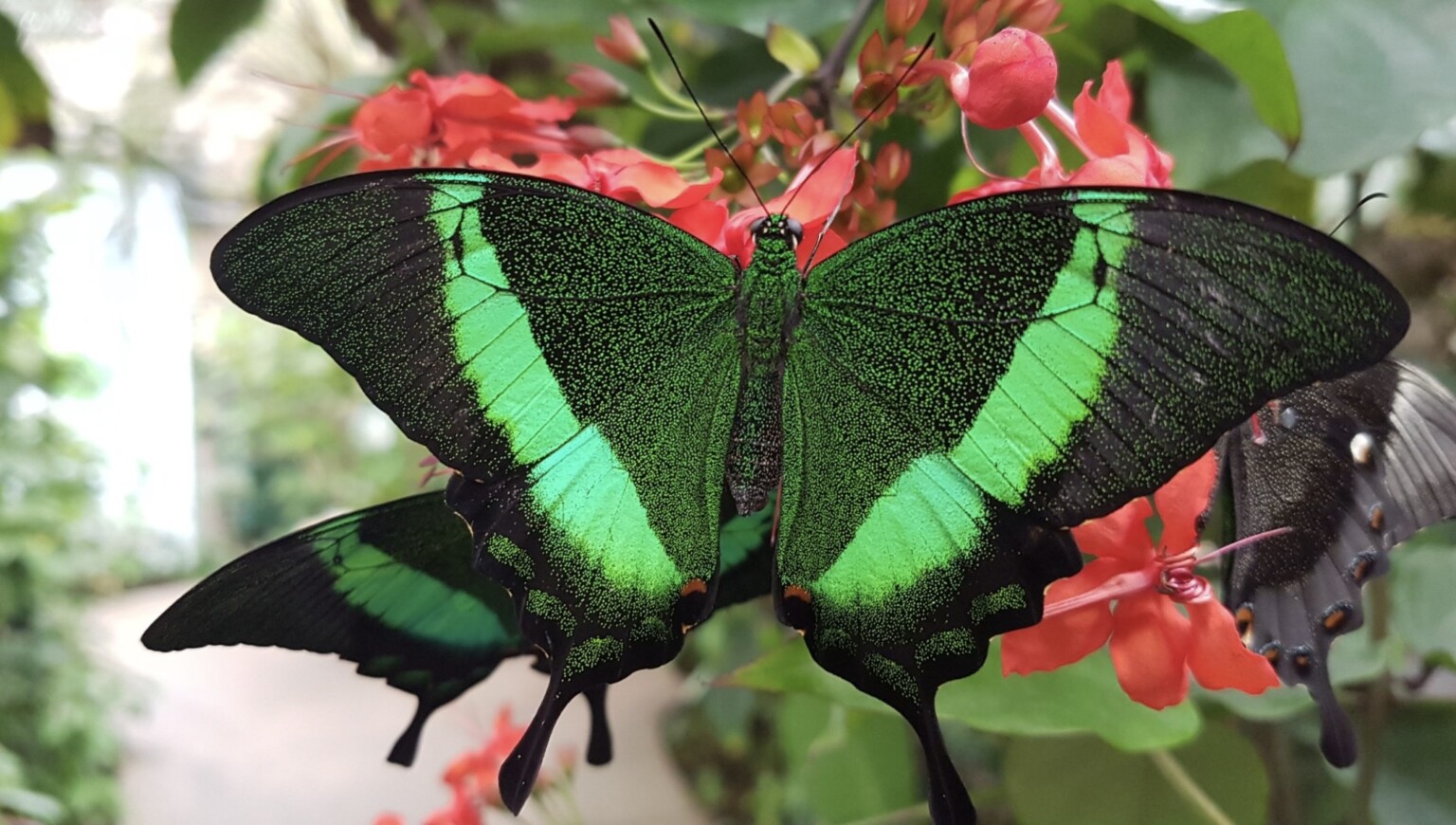 Colorado Expression Magazine - The Best of Colorado Living