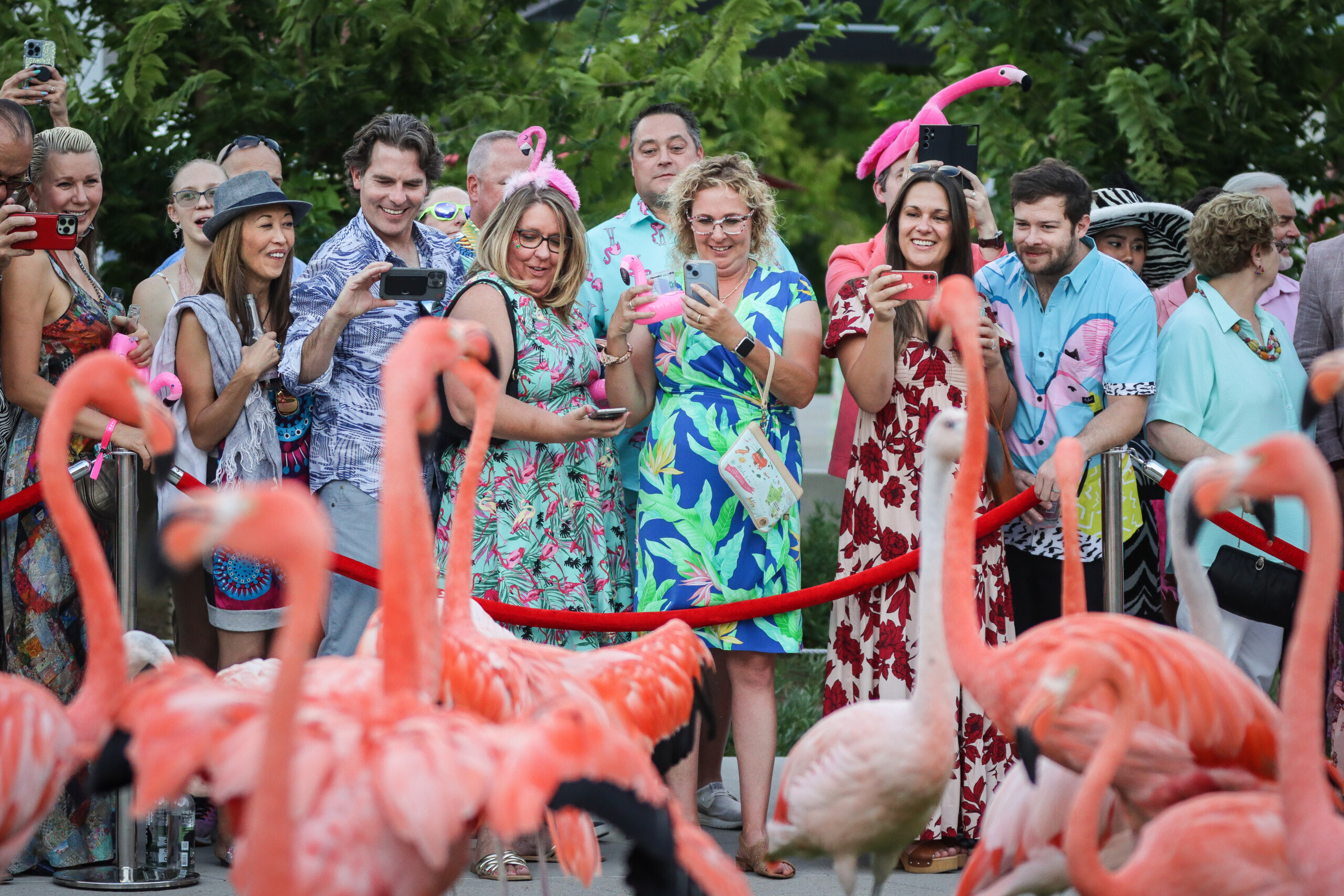 Denver Zoo’s Flock Party: Good Times, Great Cause