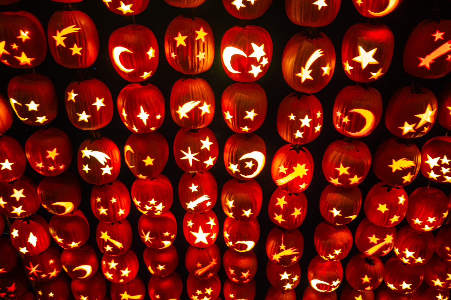 Magic Of The Jack O’Lanterns Illuminates Hudson Gardens - Colorado ...