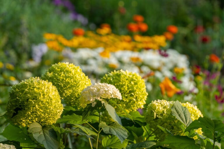 Michelle Griego: CBS4 News Anchor Beginnings - Colorado Expression ...