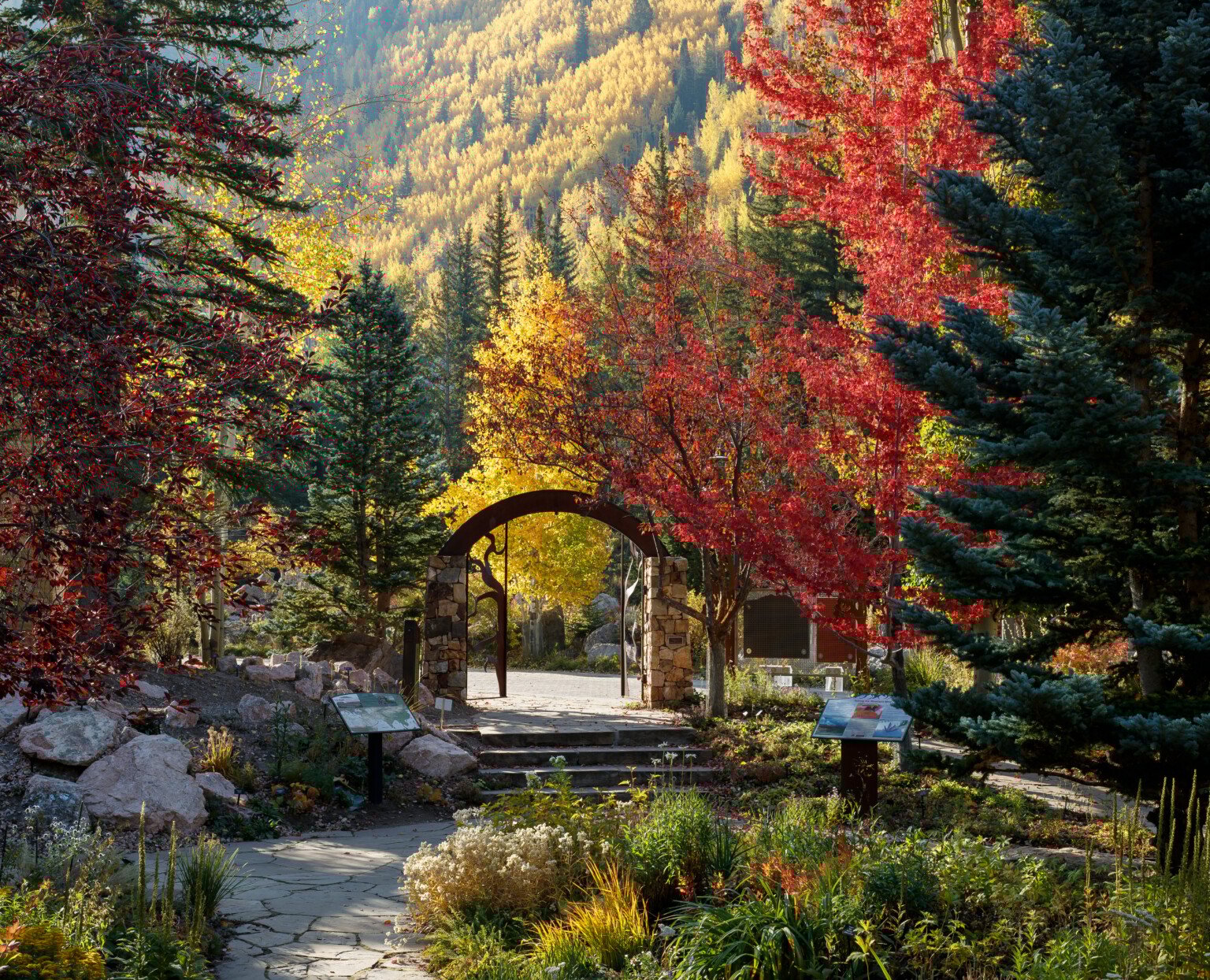 Sharon Magness Blake & Denver Broncos’ Thunder - Colorado Expression ...