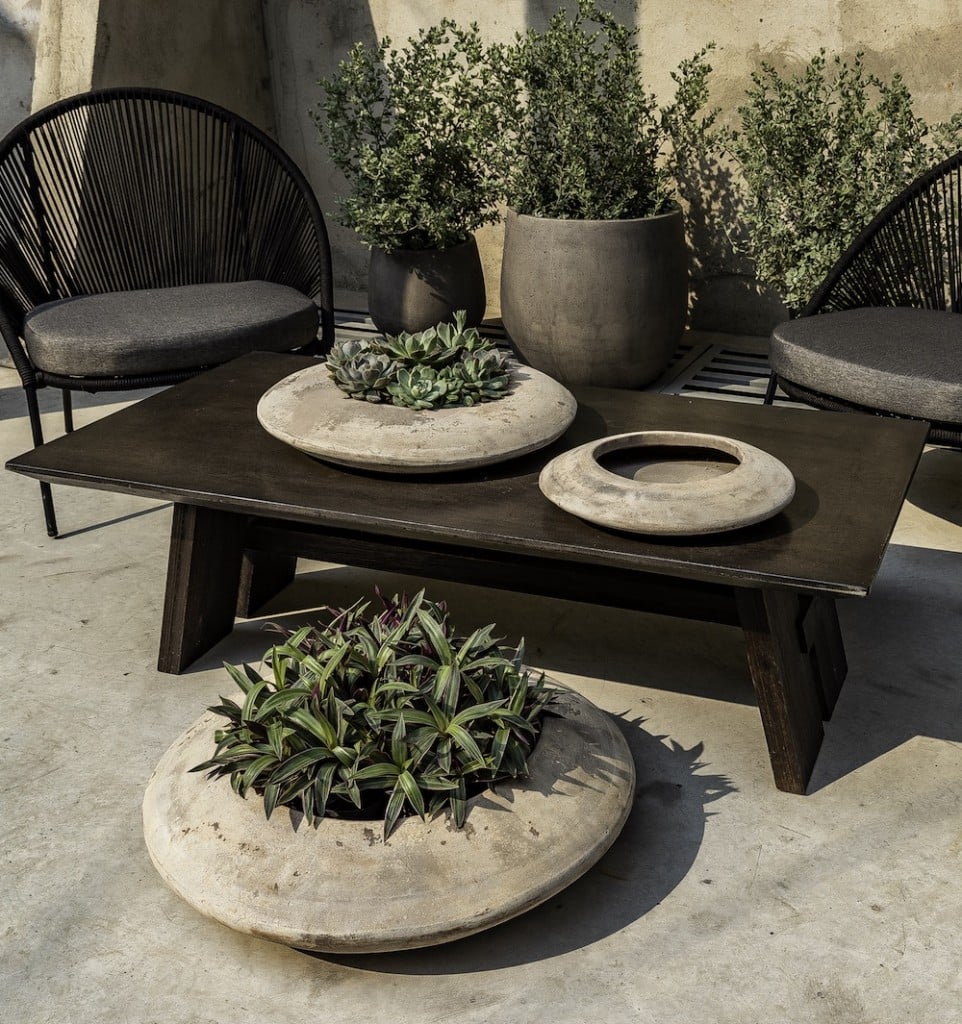 Potted Perfection - Colorado Homes & Lifestyles