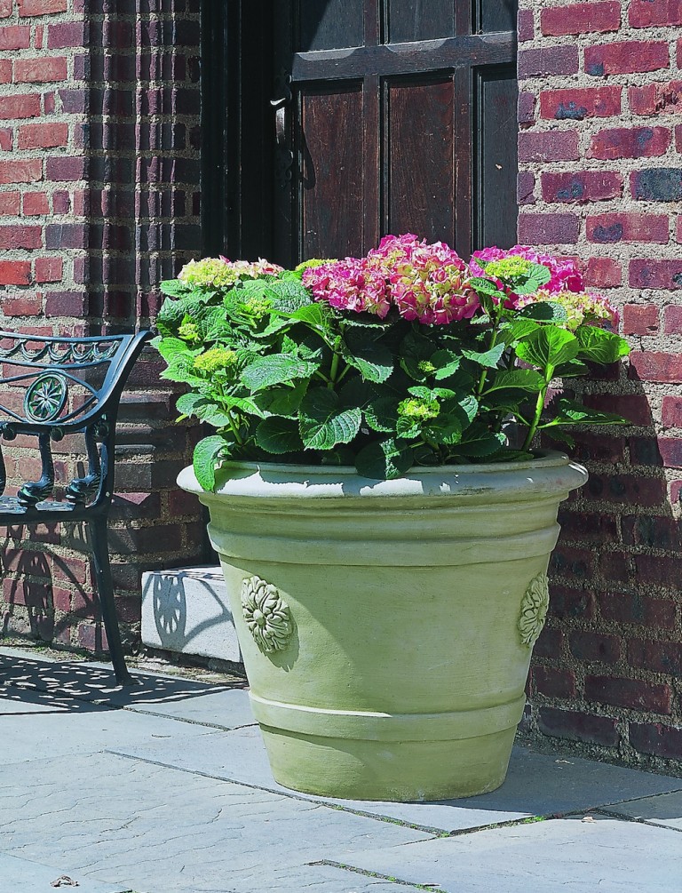 Potted Perfection - Colorado Homes & Lifestyles