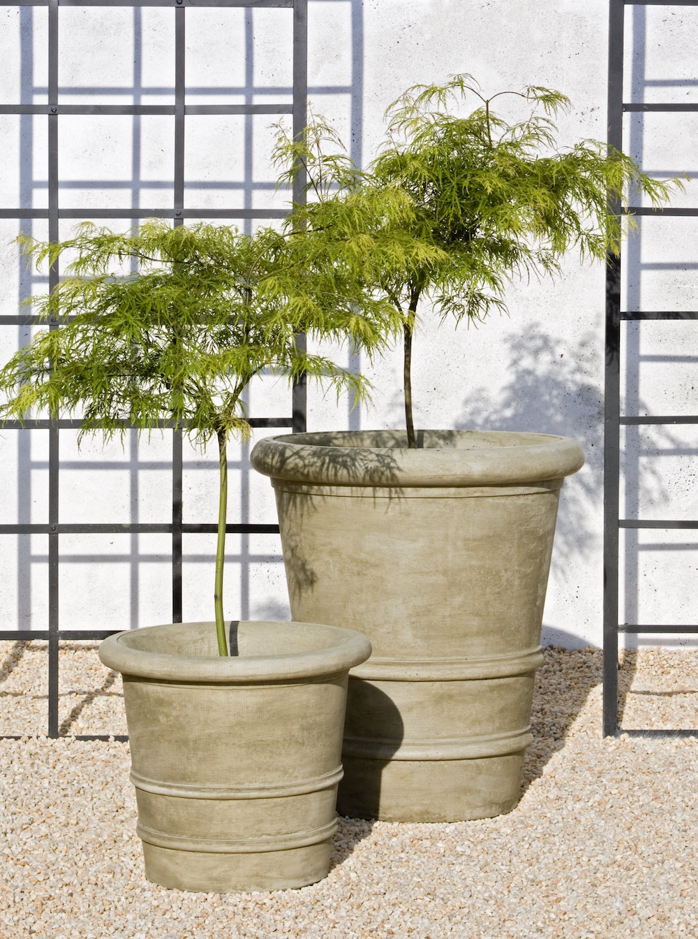 Potted Perfection - Colorado Homes & Lifestyles