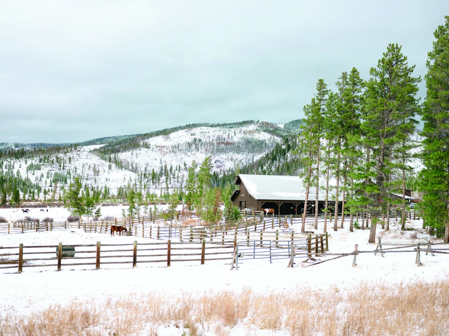 Quintessential Colorado - Colorado Homes & Lifestyles