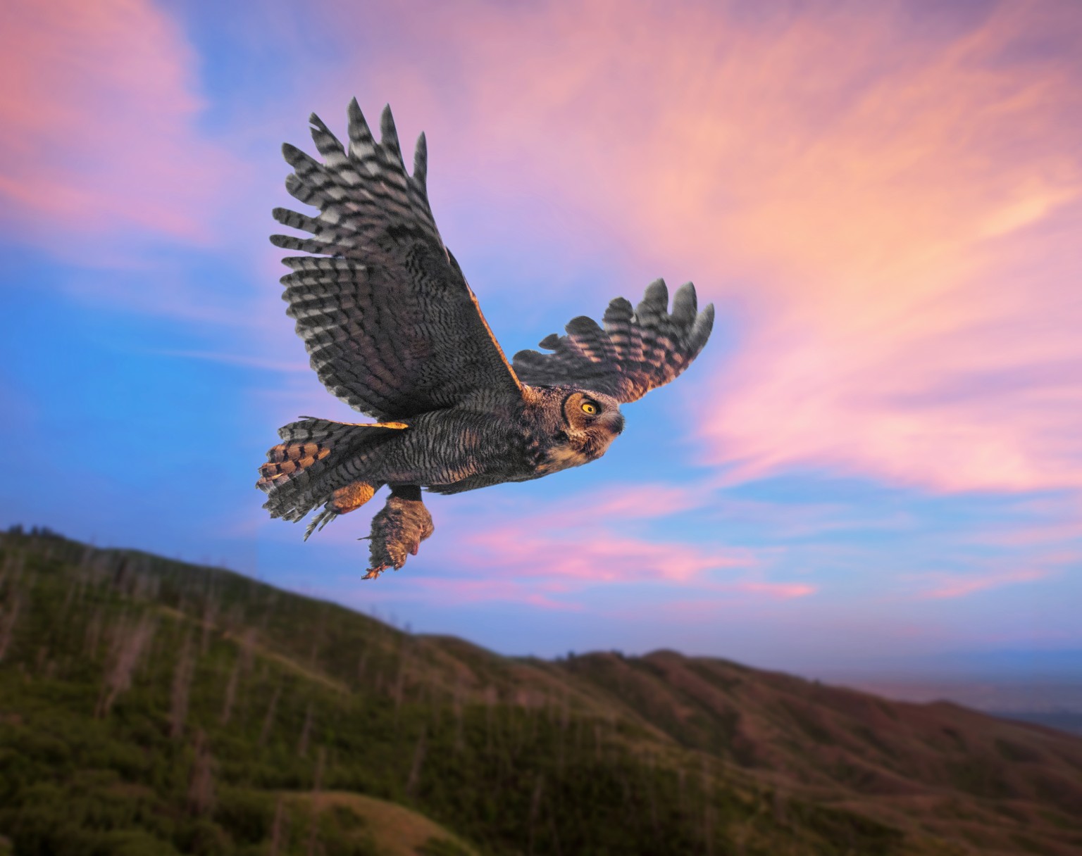 5 Places to go Birding - Colorado Homes & Lifestyles