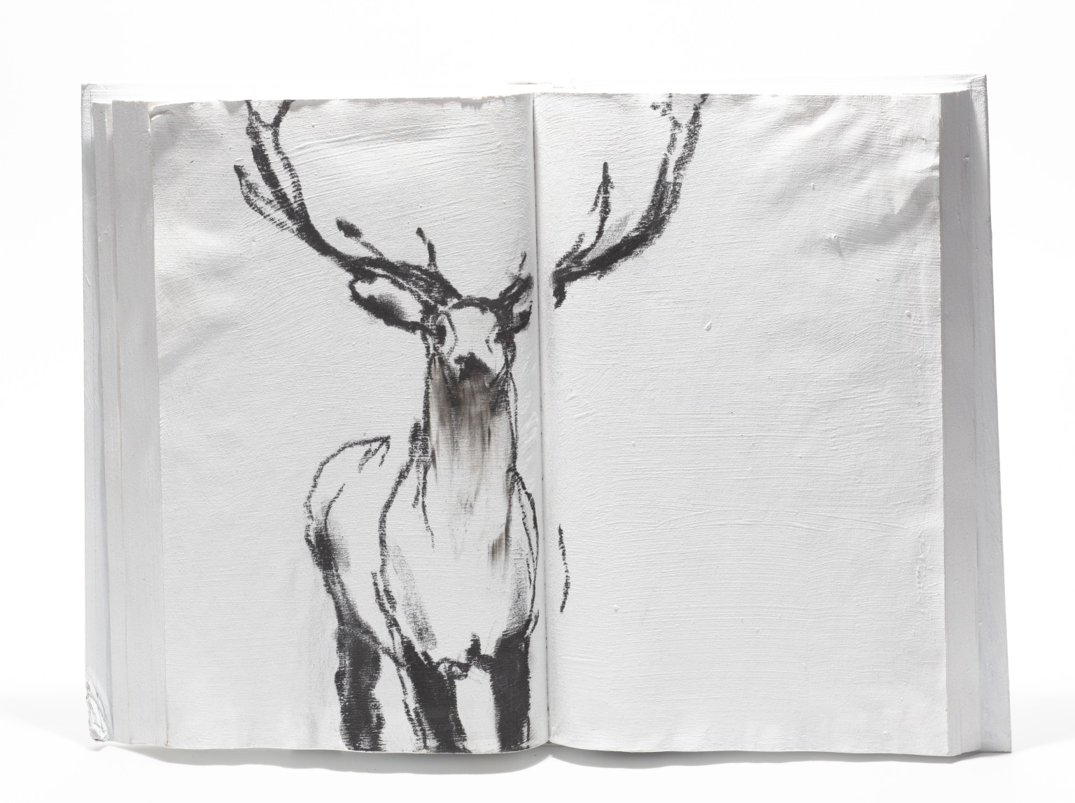 Animal Centric Art With a Twist - Colorado Homes & Lifestyles