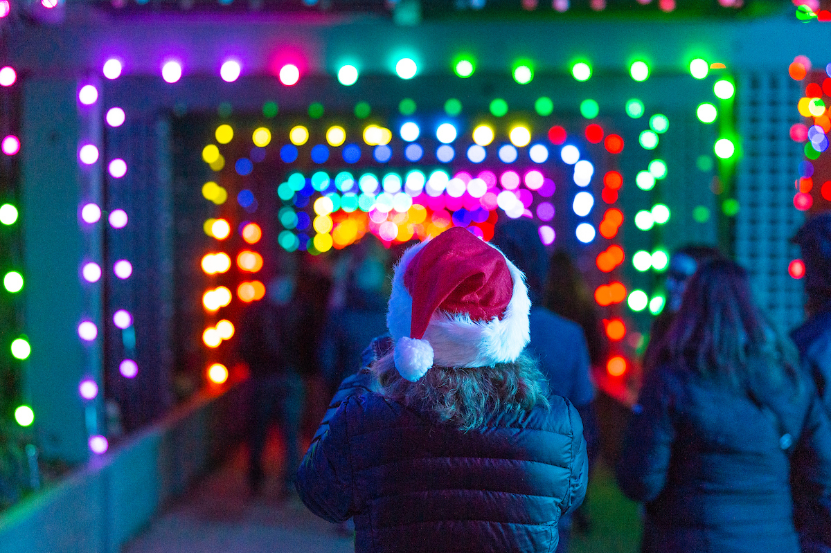 Light up the Night at the Denver Botanic Gardens - Colorado Homes ...