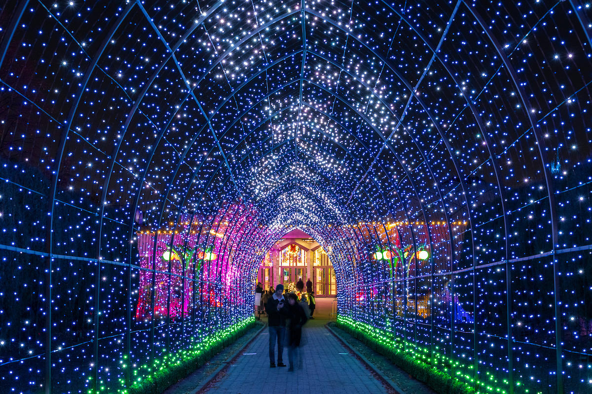 Light up the Night at the Denver Botanic Gardens - Colorado Homes ...