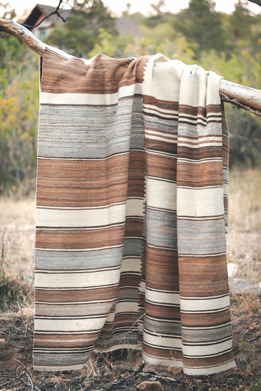 Meet the Owner of Renowned Denver Textile and Rug Store Integral Thread ...