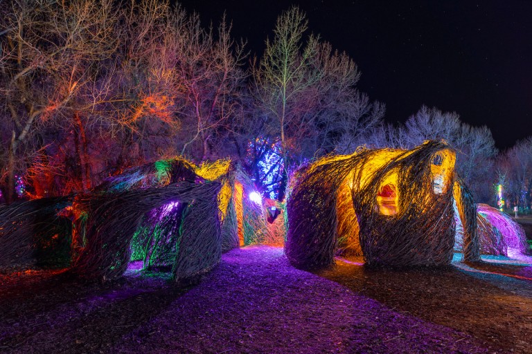 Light up the Night at the Denver Botanic Gardens - Colorado Homes ...