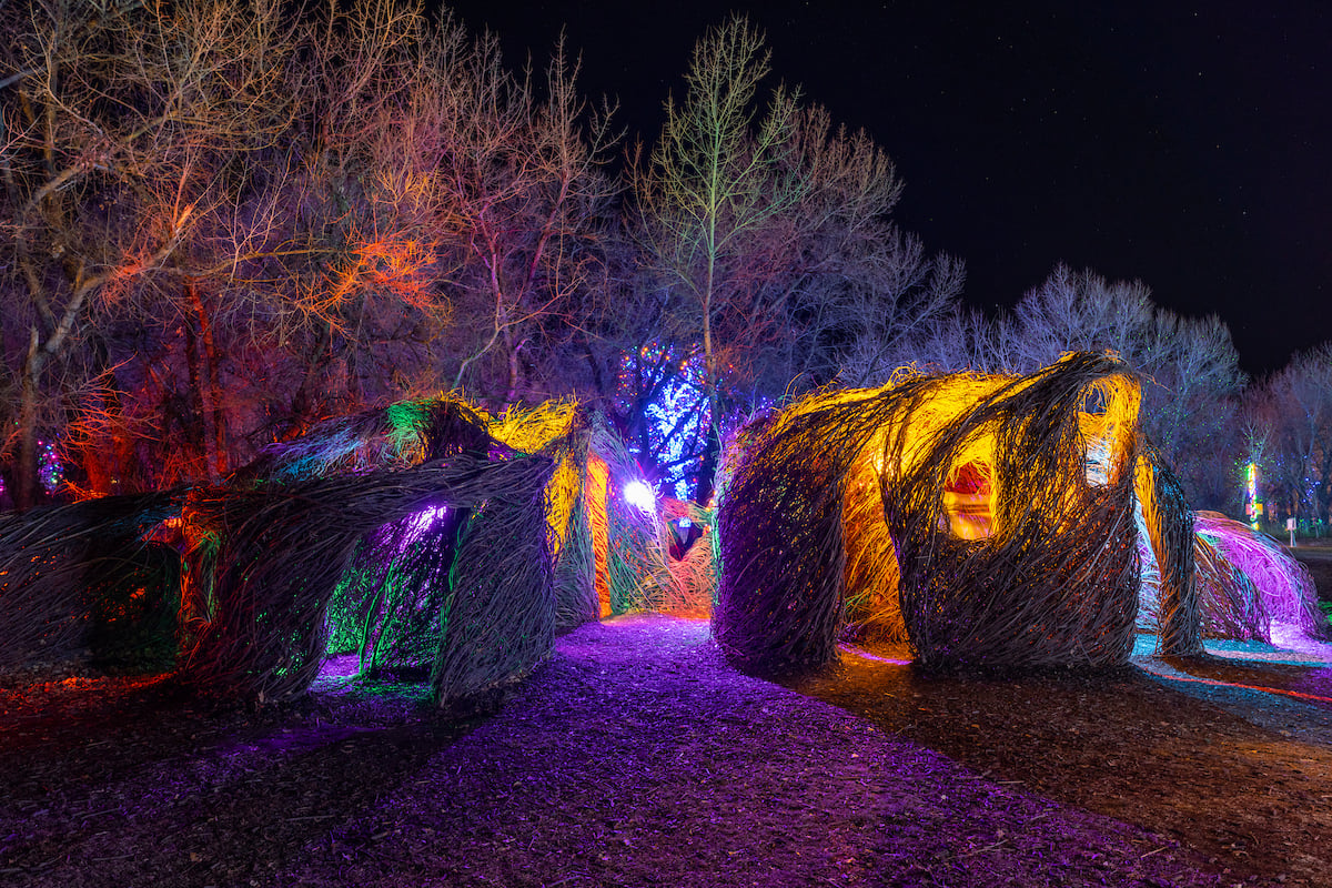Light up the Night at the Denver Botanic Gardens - Colorado Homes ...