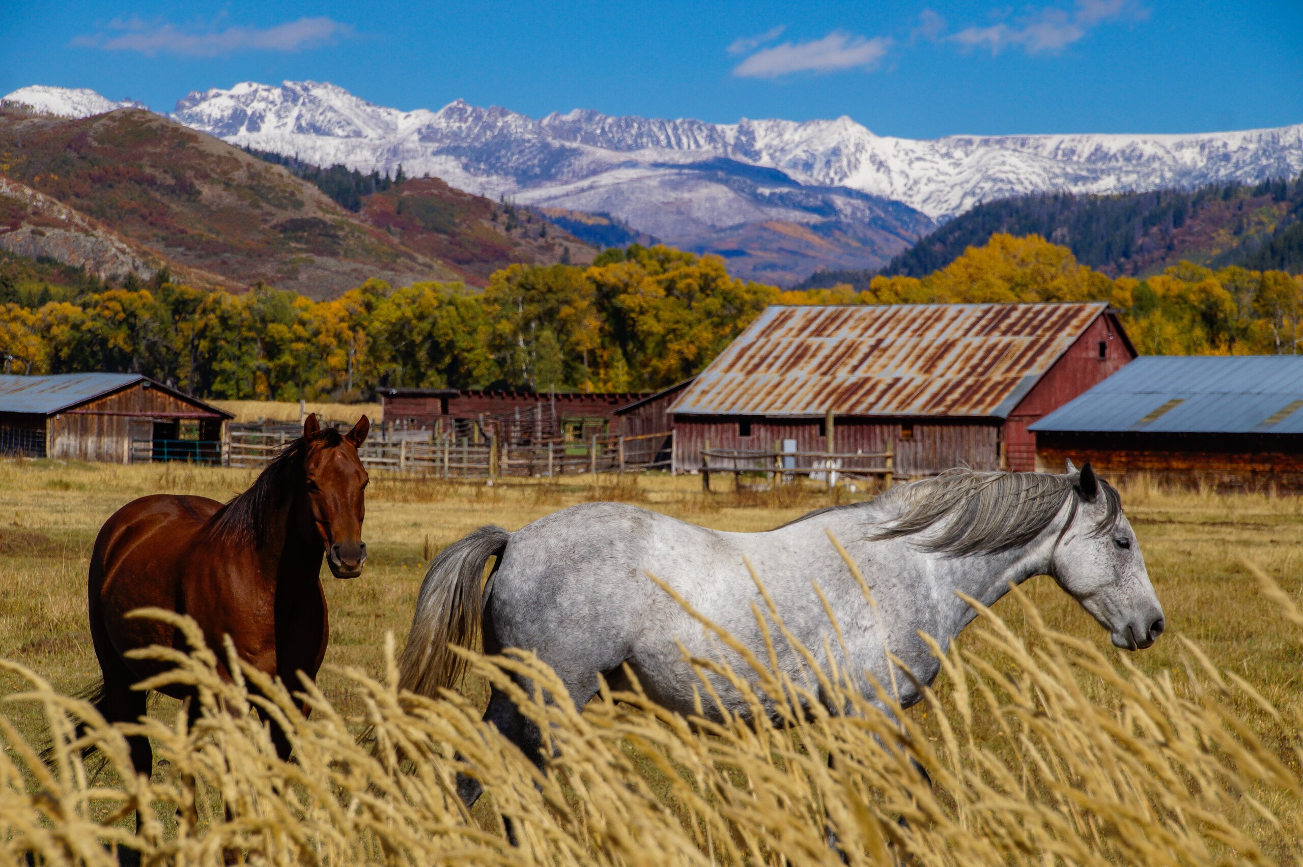Photographs Find the Magic in the Natural World - Colorado Homes ...