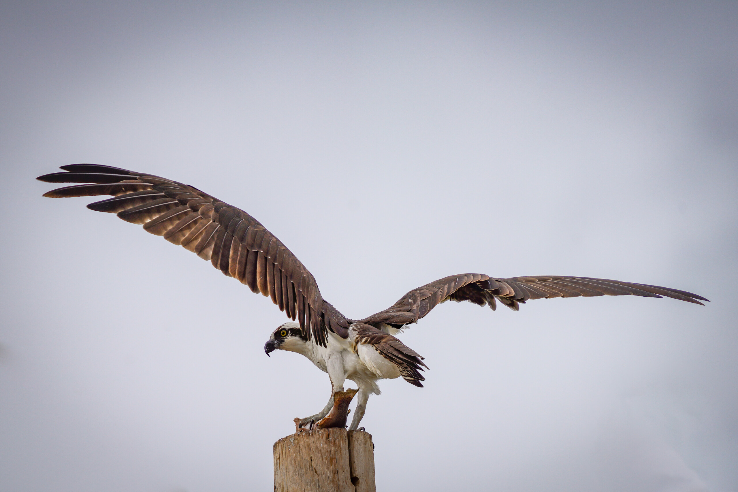 Photographs Find the Magic in the Natural World - Colorado Homes ...