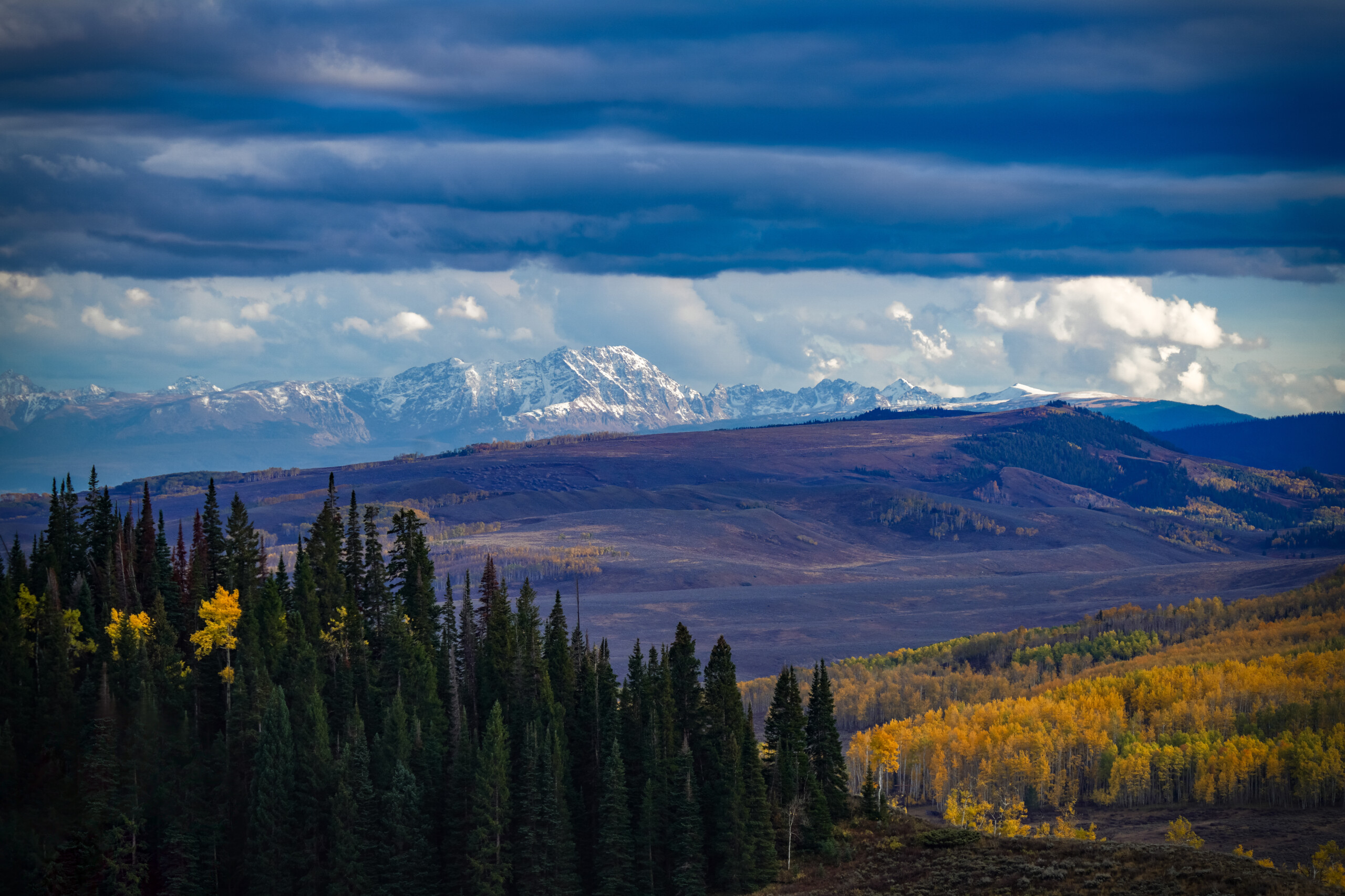 Photographs Find the Magic in the Natural World - Colorado Homes ...