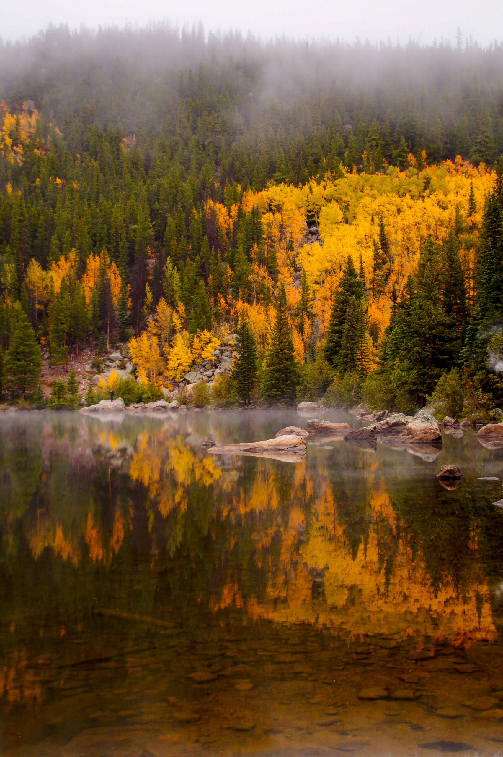 Set Your Sights on the Beauty of the Changing Leaves - Colorado Homes ...